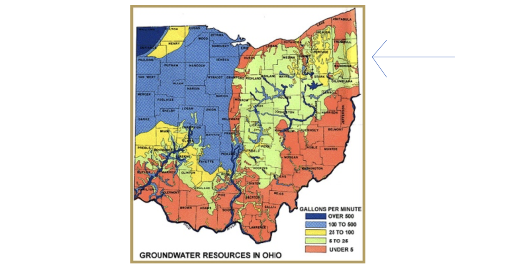 Murry Gunty, Founder & CEO | Black Bear Sports Group